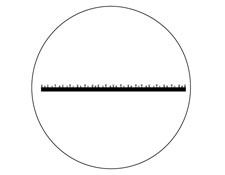 Objective Reticles - Stage Micrometers | Edmund Optics