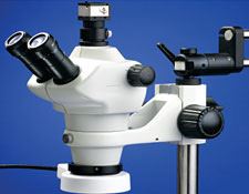 Stereo Microscopes - Stereo Microscope | Edmund Optics