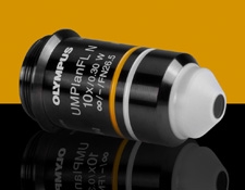 Olympus Water Immersion Objectives | Edmund Optics