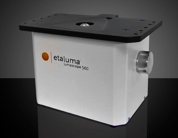 Etaluma Lumascope 560 Inverted Microscope | Edmund Optics