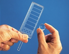 Scratch and Dig Paddle - Product Discontinued | Edmund Optics