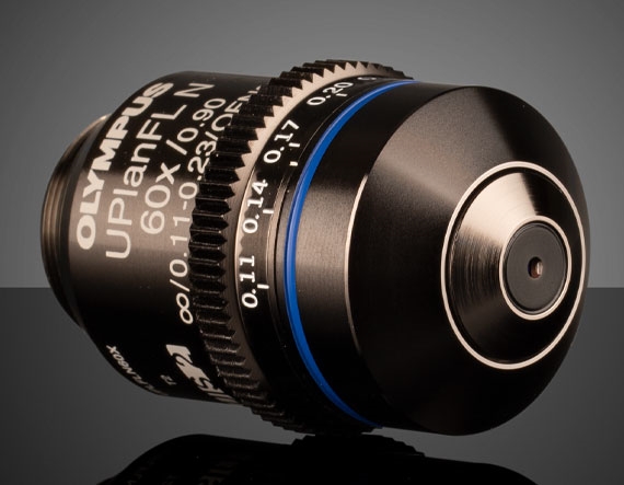 Olympus UPLFLN 60X Objective | Edmund Optics
